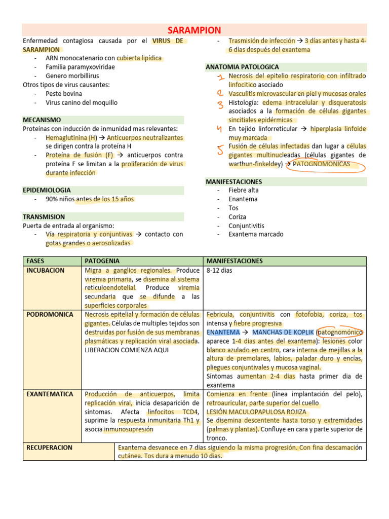 Sarampion 2 | PDF | Sarampión | Virus