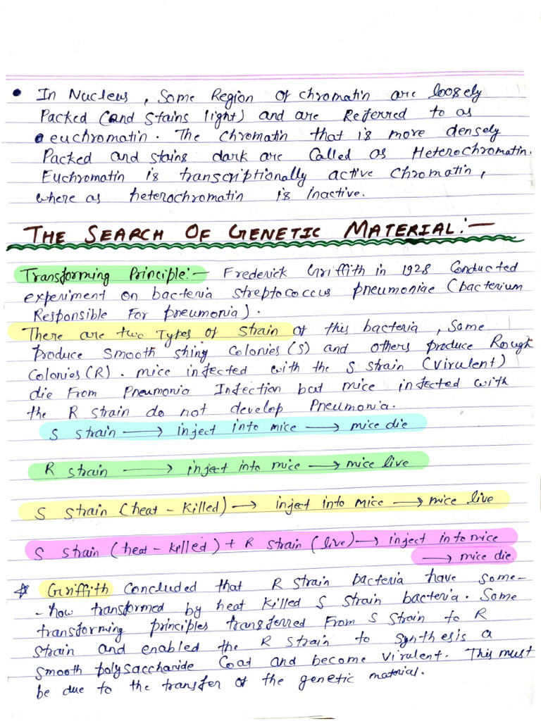 Molecular Basis of Inheritance Class 12th Biology | PDF