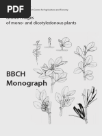 The Extended BBCH-scale | PDF | Seed | Germination