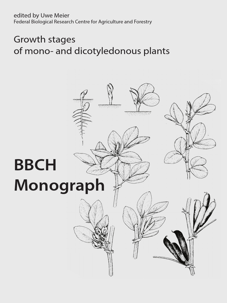 BBCH-Skala_en | PDF | Seed | Flowers