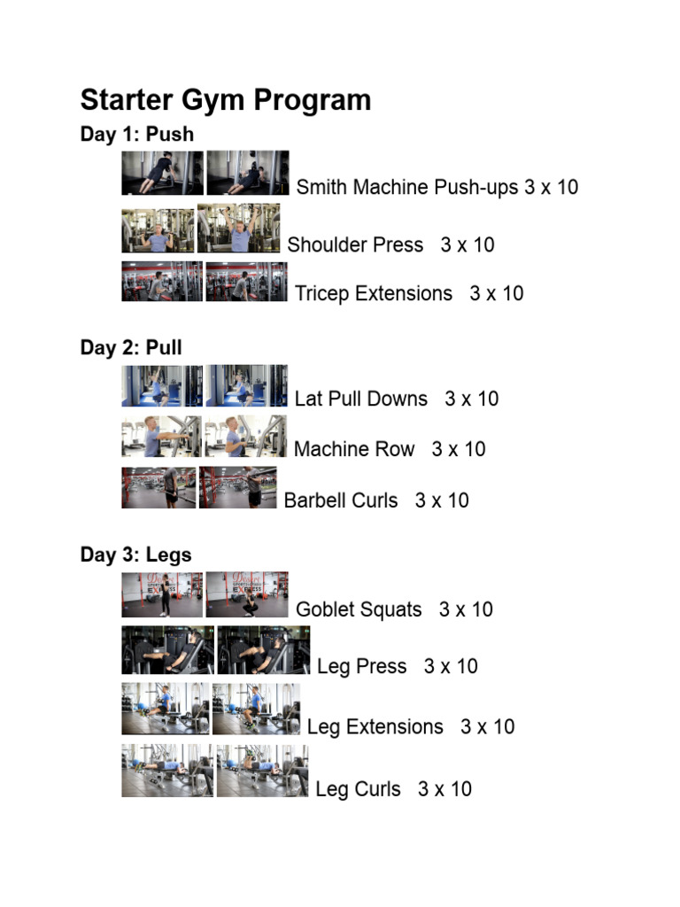 Starter Gym Program | PDF