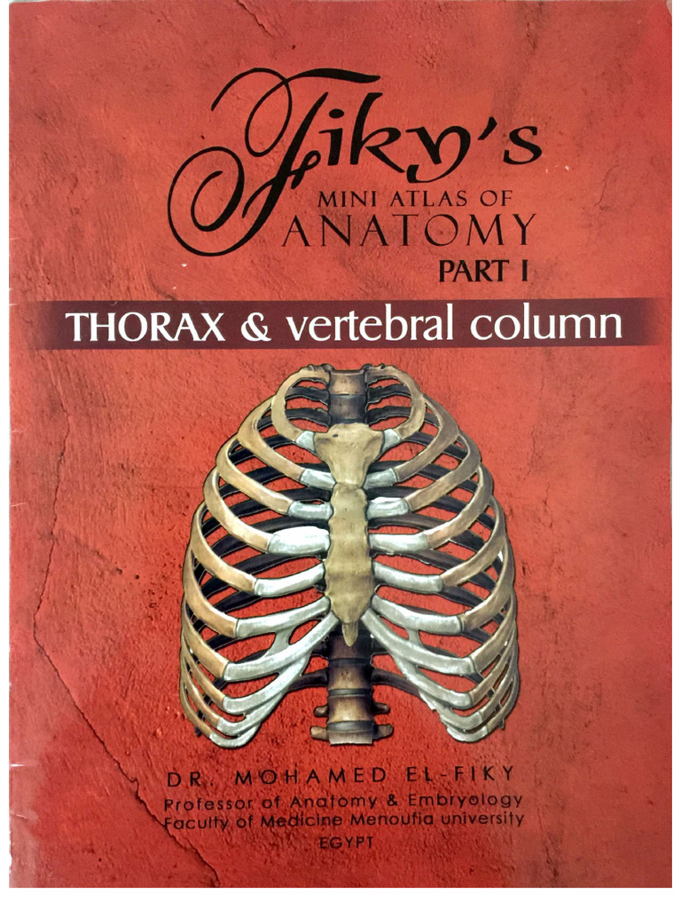 Thorax .. Elfiky | PDF