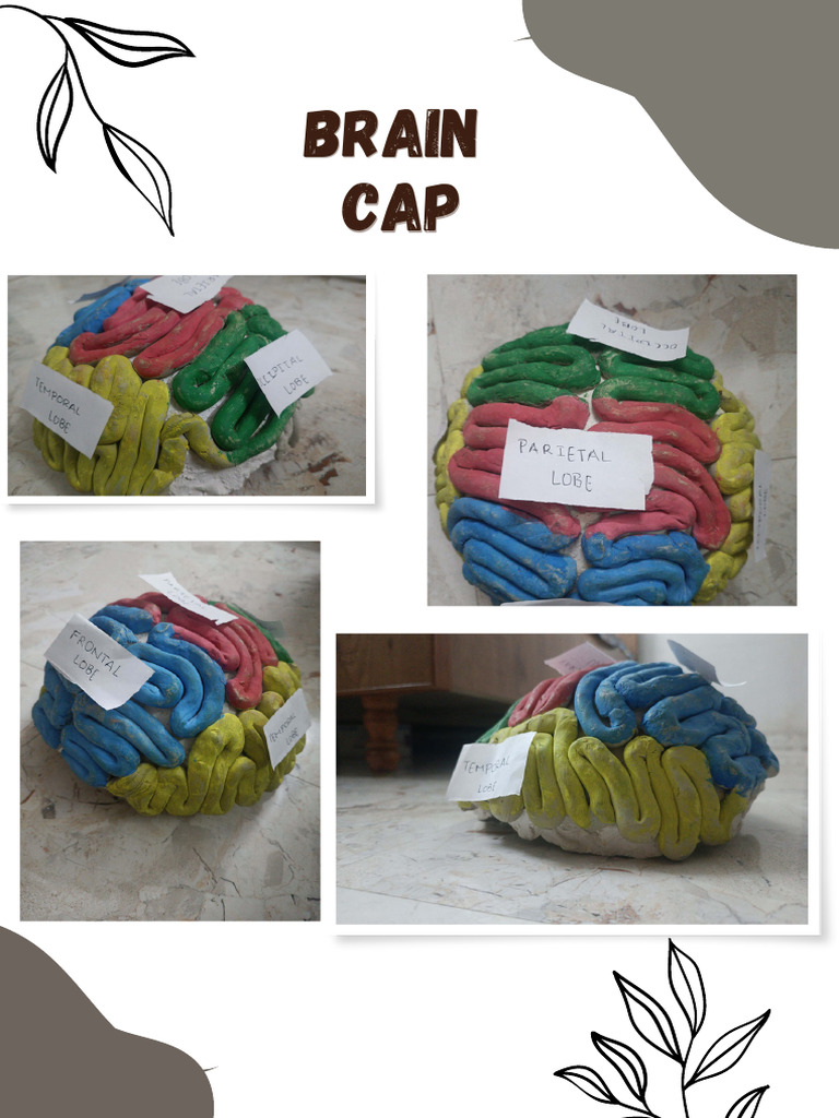 Brain Cap | PDF
