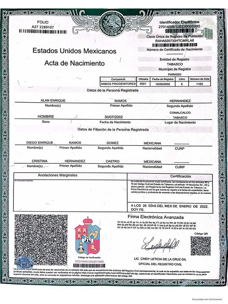 CV Alan Enrique | PDF