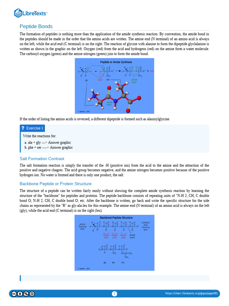 Lecture_13.07_Peptide_Bonds | PDF | Amide | Amino Acid