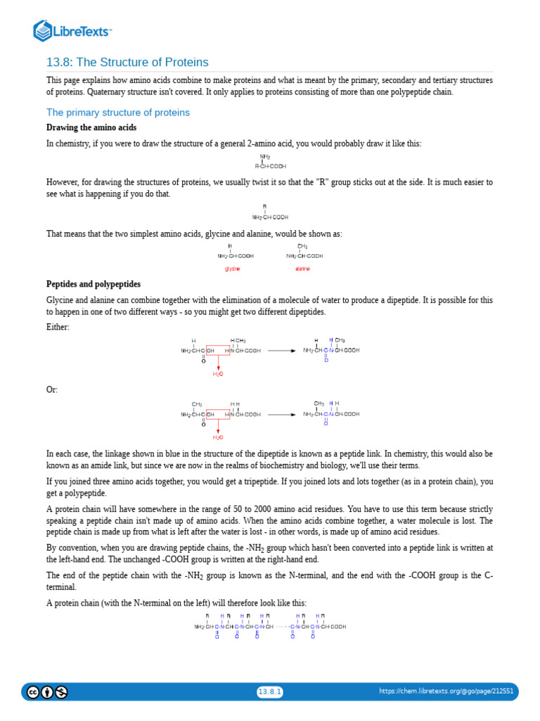 Lecture_13.08__The_Structure_of_Proteins | PDF | Alpha Helix | Amino Acid