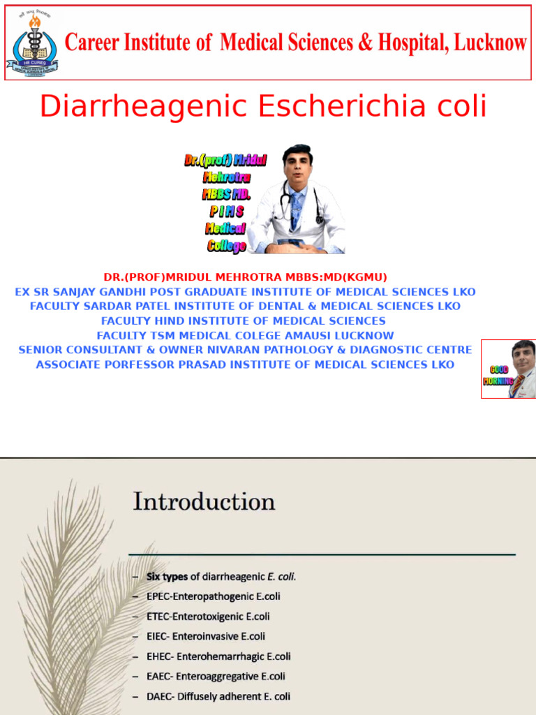 Diarrheagenic Escherichia coli Overview | PDF