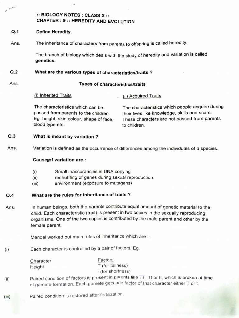 Biology-Heredity & Evolution | PDF | Male | Heredity