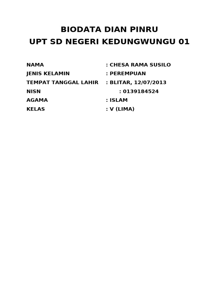 Biodata Dian Pinru Upt Sd Negeri Kedungwungu 01 | PDF