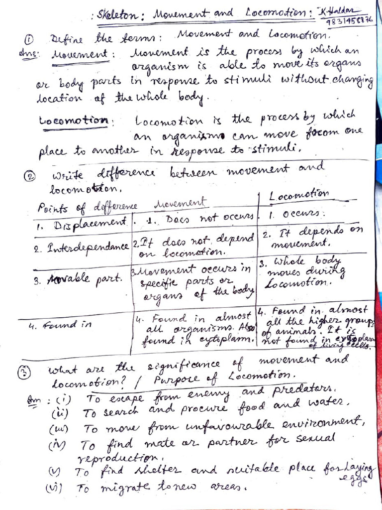Human Skeleton: Movement & Locomotion | PDF | Zoology | Morphology ...