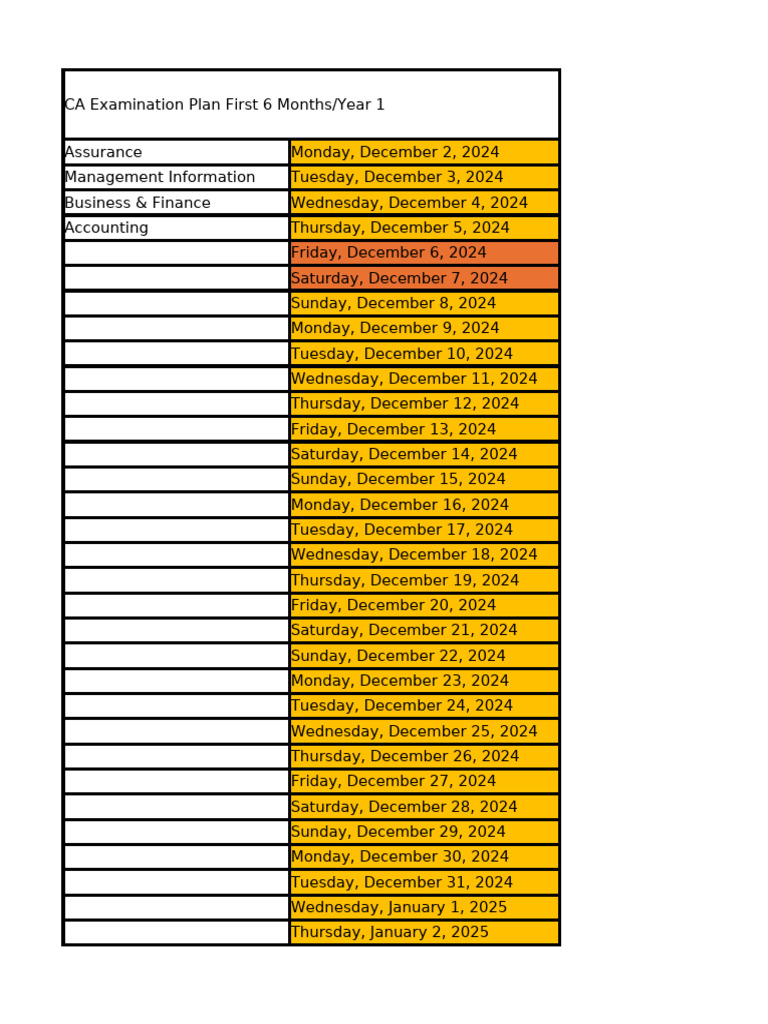 CA Examination Plan First 6 Months Year 1 | PDF