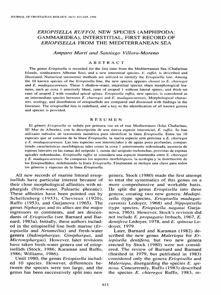 Eriopisella Ruffoi New Species Amphipoda Gammaridea Interstitial 1996 ...
