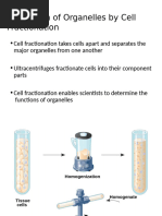 Cell Fractionation Techniques Explained | PDF | Centrifugation | Centrifuge