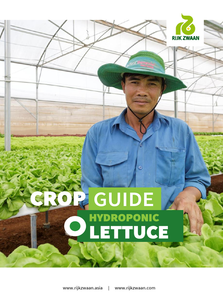 SEA Crop Guide Lettuce Hydroponics | PDF | Lettuce | Hydroponics