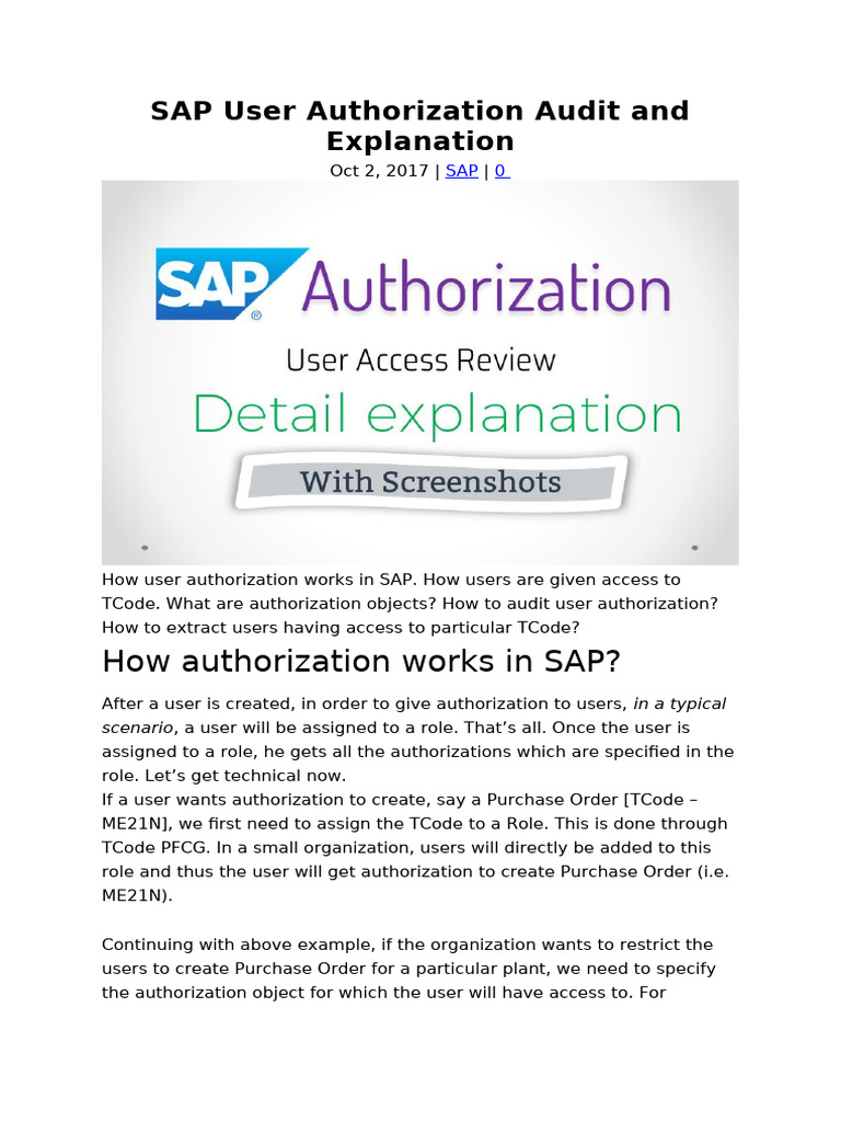 SAP User Authorization Audit and Explanation | PDF | Menu (Computing ...