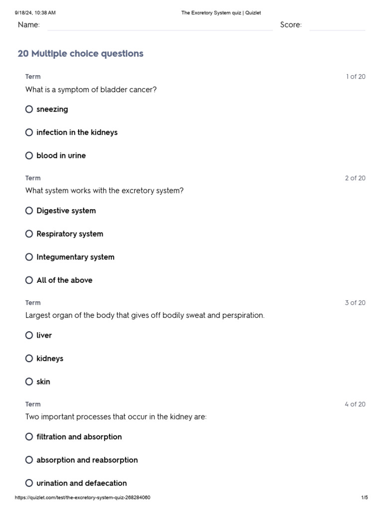 The Excretory System Quiz - Quizlet | PDF | Kidney | Urinary System