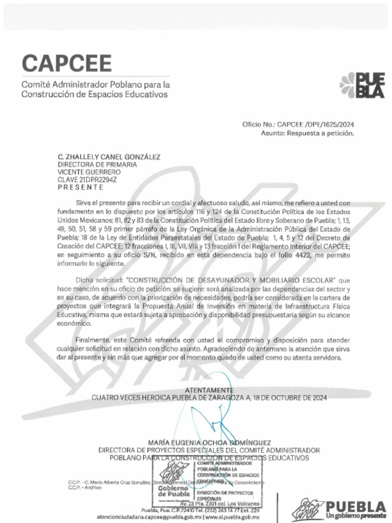 Atencion Al Folio 4423 Capcee Dpe 1625 2024 | PDF