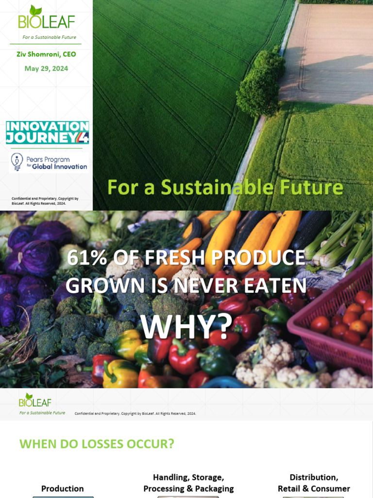 BioLeaf - Innovation Journey 2024 | PDF | Potato | Agriculture