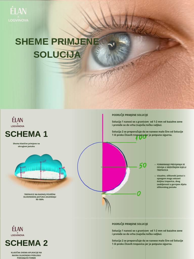 Schemes of Application of Solutions | PDF
