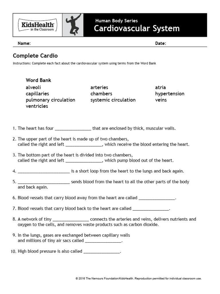 Cardiovascular System Worksheet | PDF