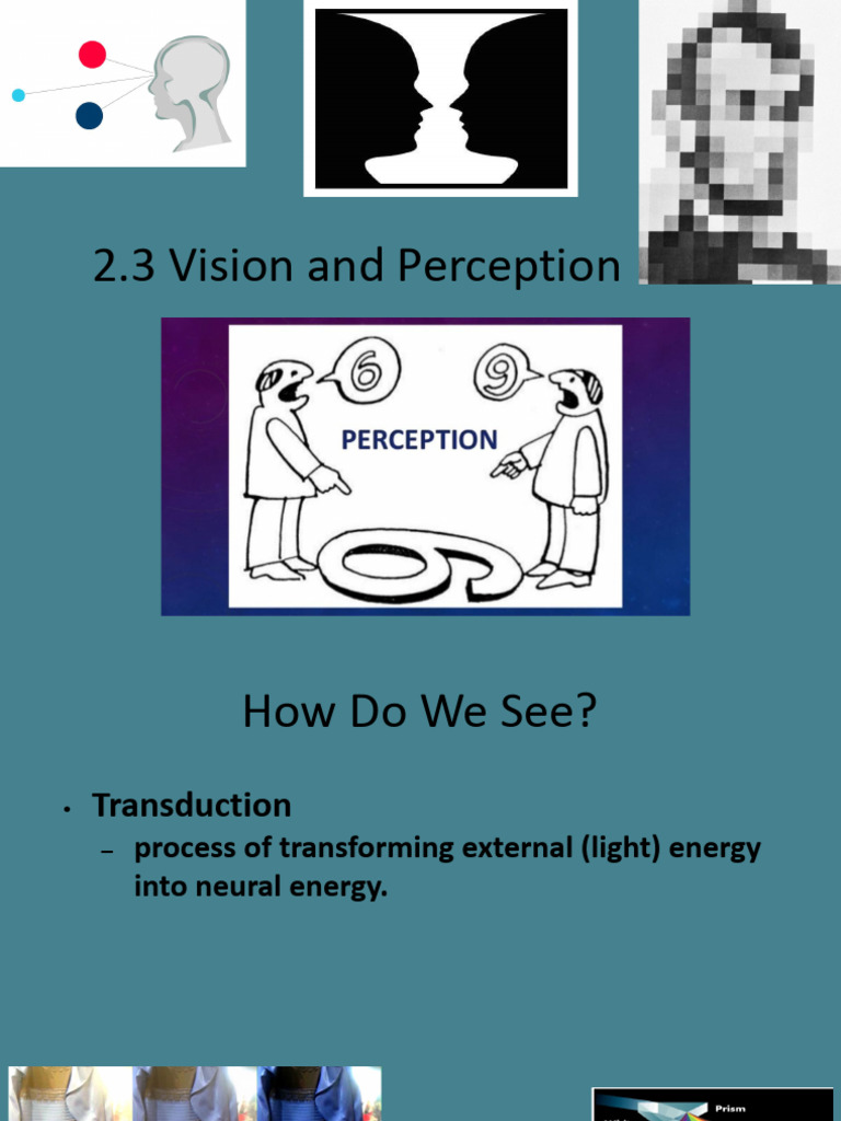 2.3 Vision and Perception | PDF | Visual Perception | Eye