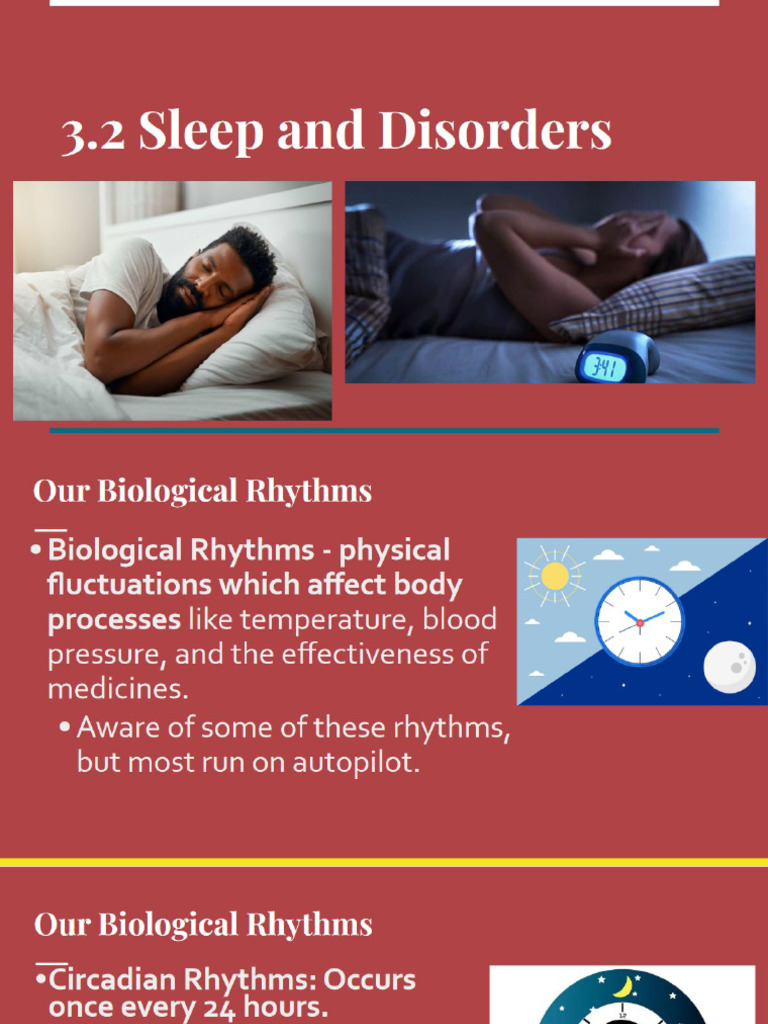 Notes 3.2 Sleep and Disorders | PDF