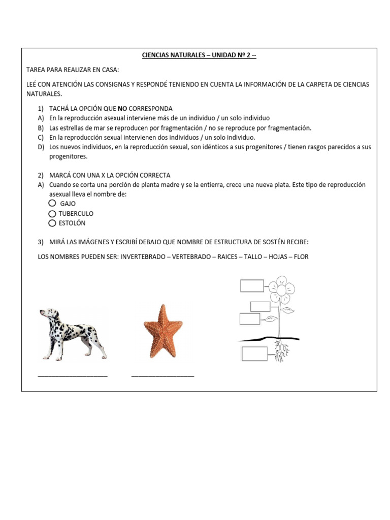 TP Nº 2 DE CS NATURALES | PDF