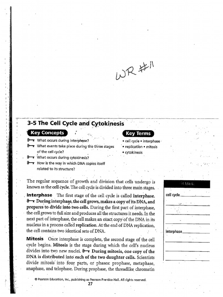 WR #11 (Blank) | PDF