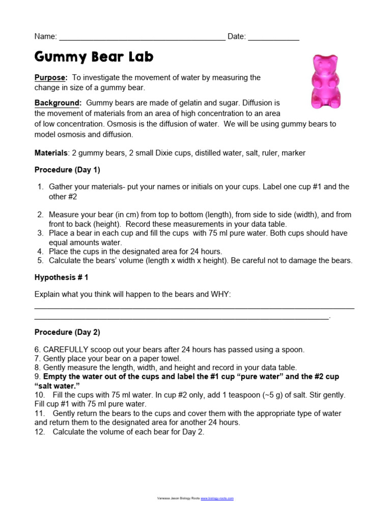 GummyBearOsmosisupdated | PDF | Volume | Water