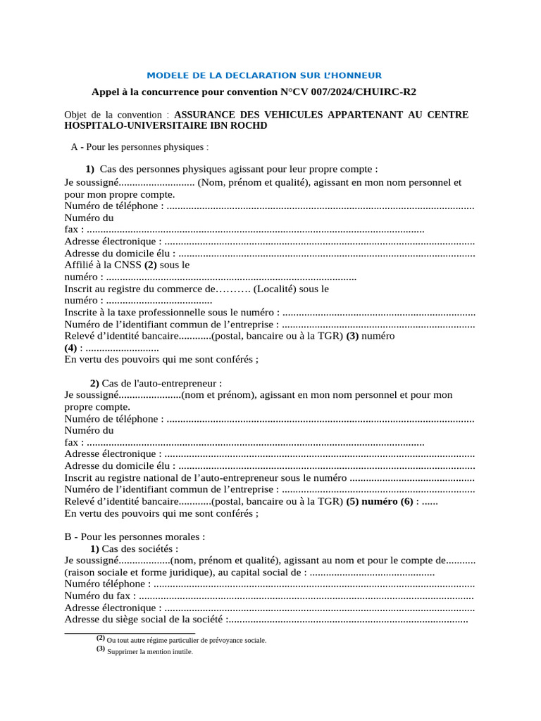 Modèle de Déclaration sur l'Honneur 2024 | PDF