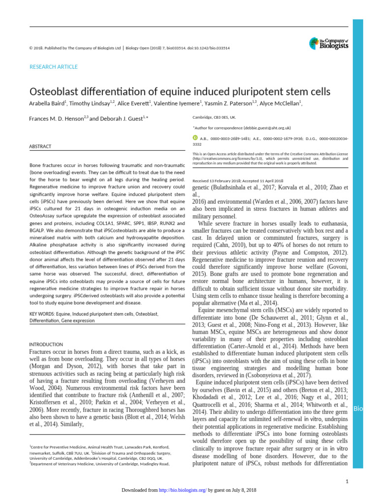 Equinos | PDF | Cell Potency | Cellular Differentiation