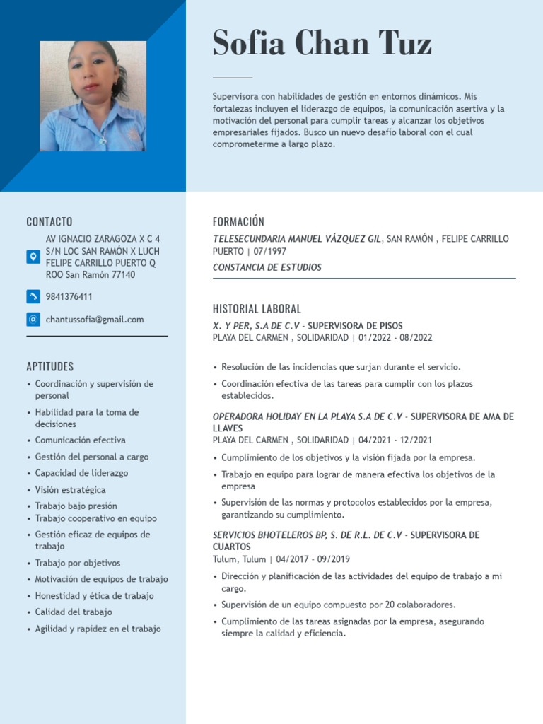 Sofia CV | PDF | Business | Economias
