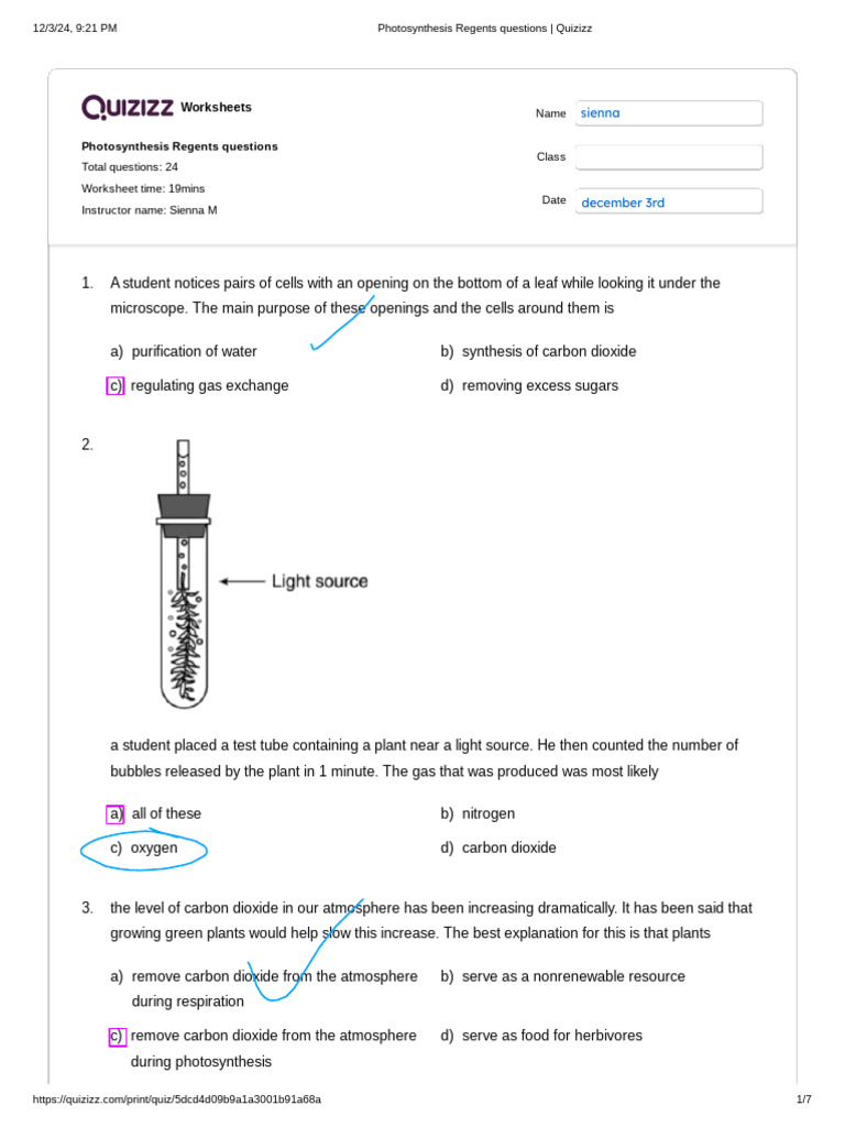 Photosynthesis Regents Questions - Quizizz | PDF | Photosynthesis ...