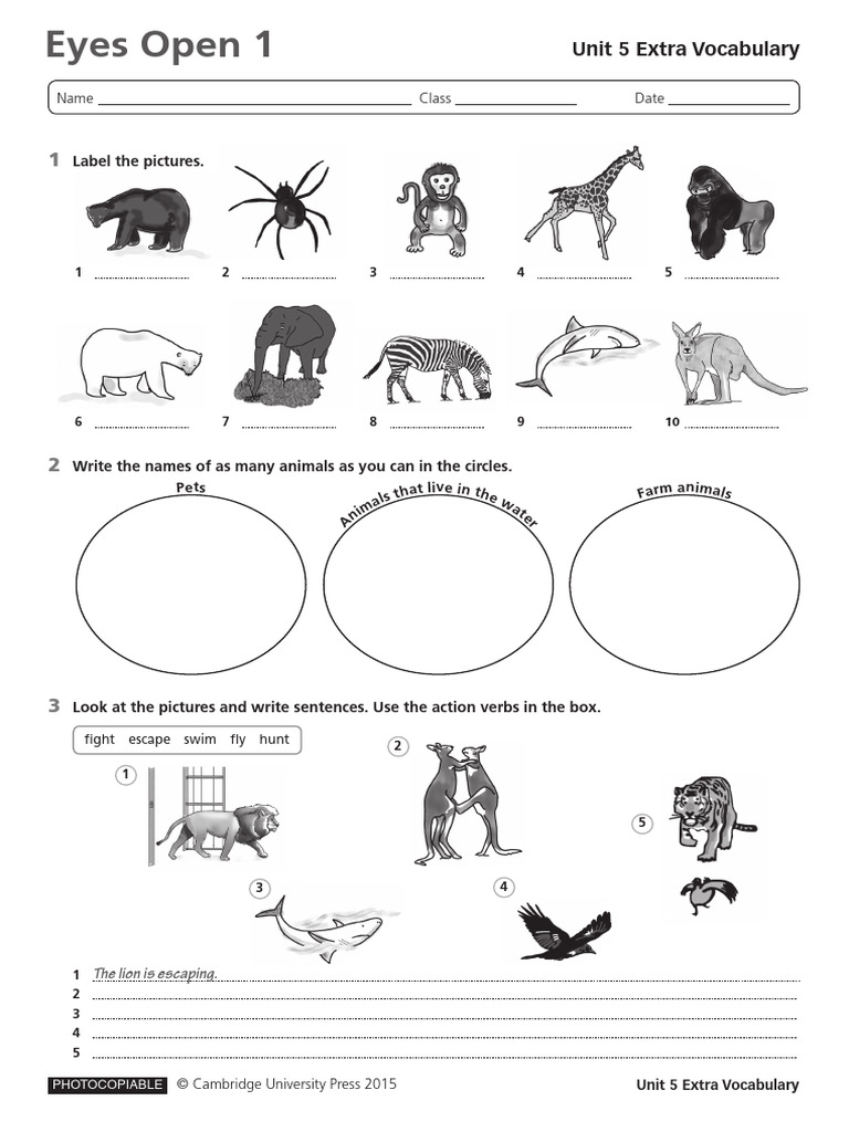 Unit 5 Extra Vocabulary: Animals Activities | PDF