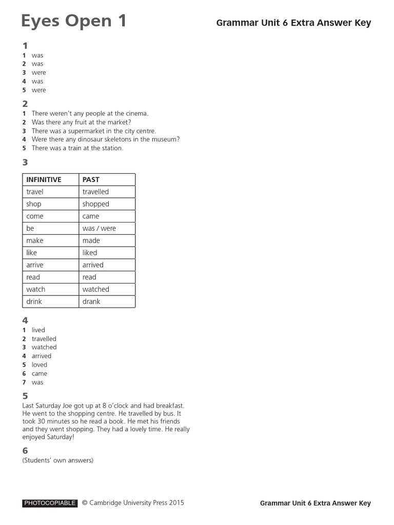 Unit 6 Grammar Extra Answer Key | PDF