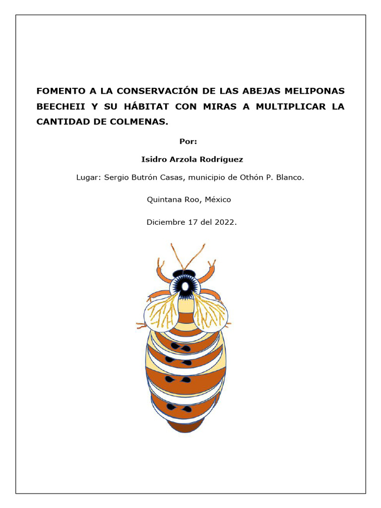 1er - Fomento A La Conservación de Las Abejas Meliponas | PDF | Abejas ...