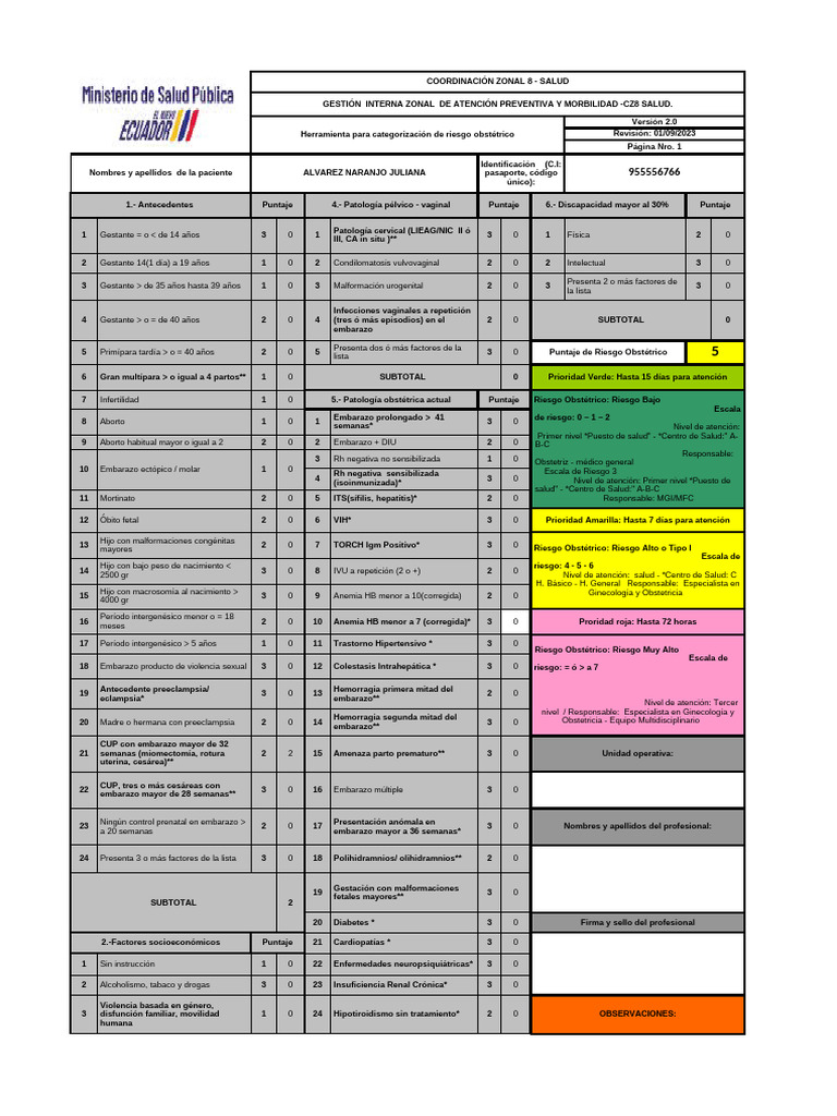 Formulario - Digital - de - Categorización - de - Riesgo - Obstétrico ...
