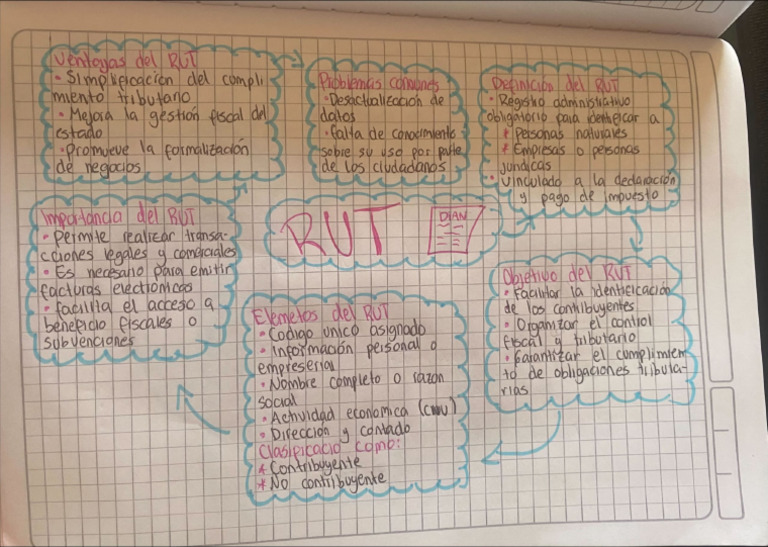 RUT MAPA CONCEPTUAL | PDF