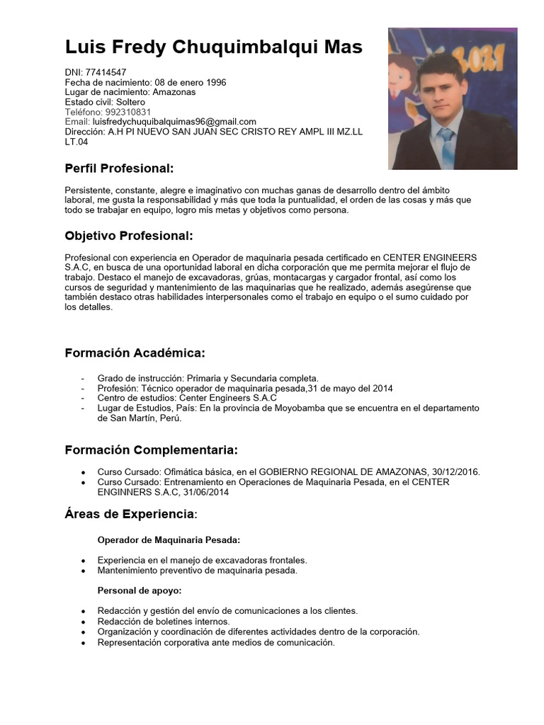 Curriculum Vitae Luis | PDF