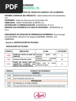 Formato FOREIA001 para Reporte de Incidentes | PDF | Seguridad del ...