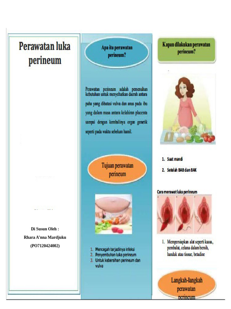 RHARA LIFLET PERINEUM | PDF