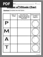 Mitosis Phases Drawing Guide | PDF