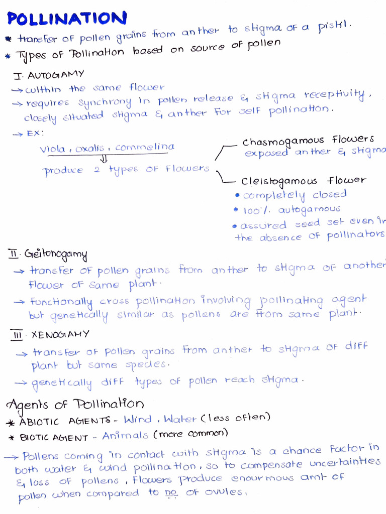 Understanding Pollination Mechanisms | PDF | Seed | Reproduction