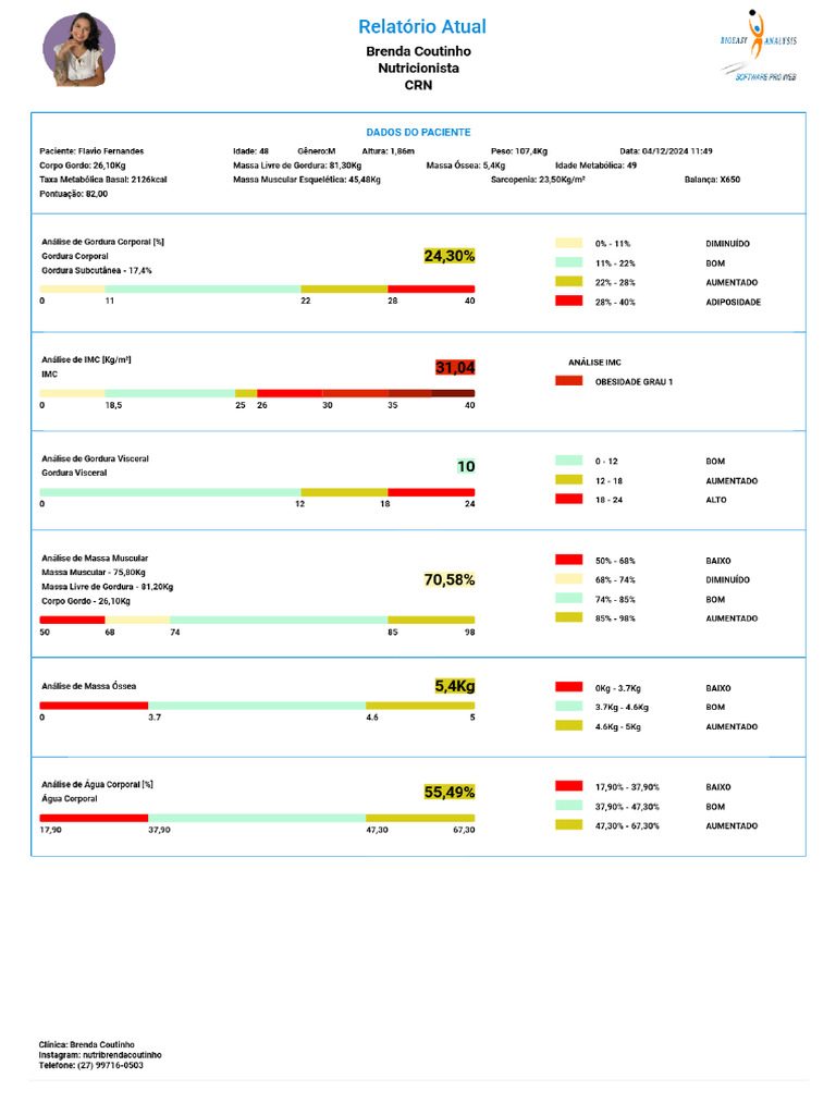 Flavio Fernandes Relatorio Atual 04122024 | PDF