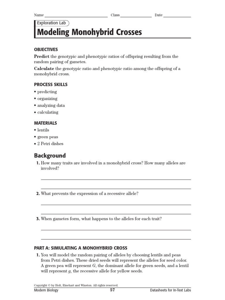 Modeling Monohybrid Crosses Lab | PDF | Genotype | Dominance (Genetics)