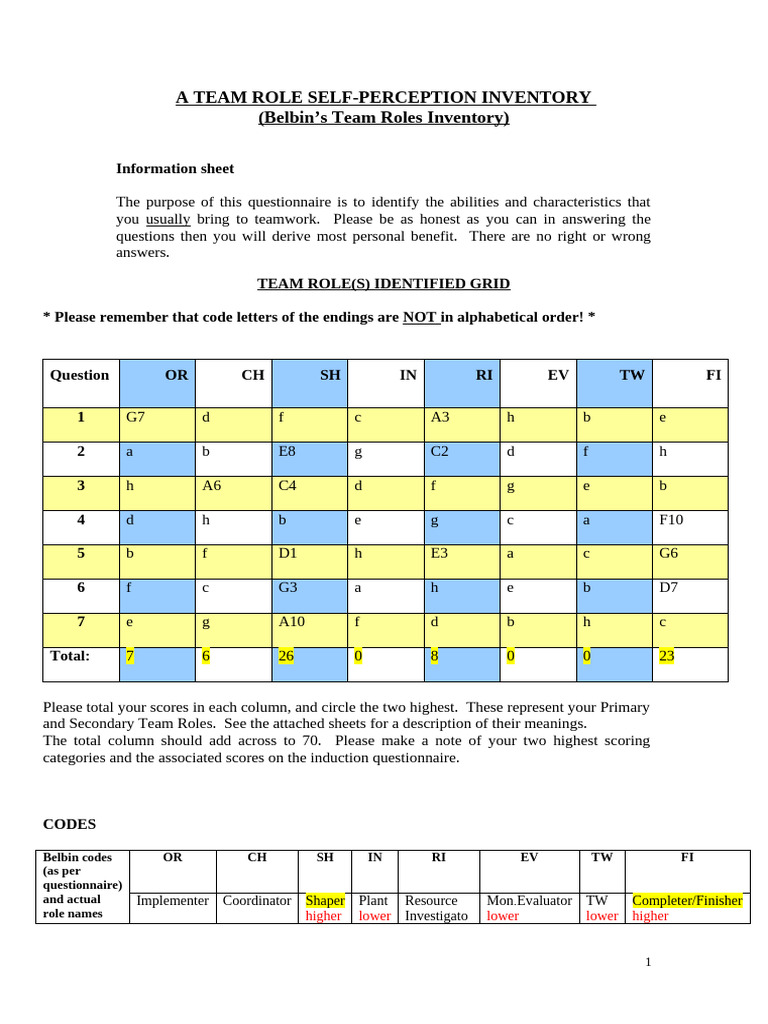 LD6080 Belbin's Team Roles Inventory | PDF | Extraversion And Introversion | Cognitive Science