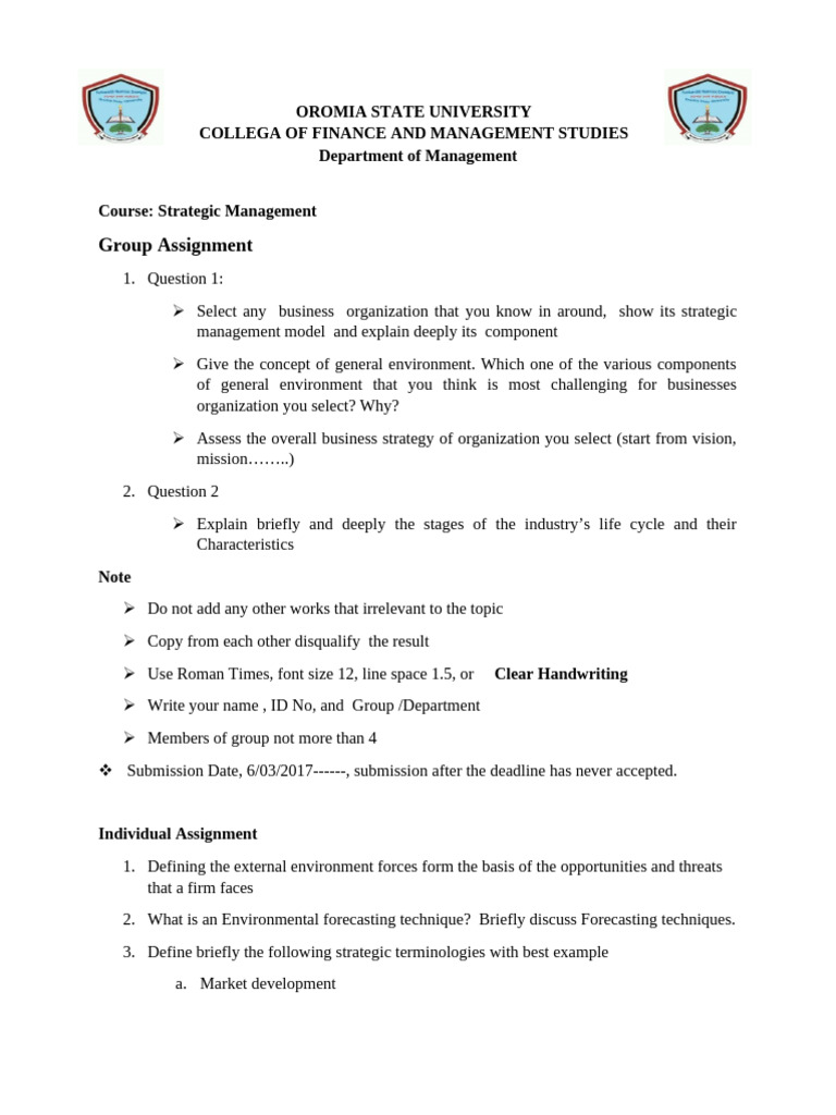 Strategic mgt Assignment | PDF | Strategic Management | Business