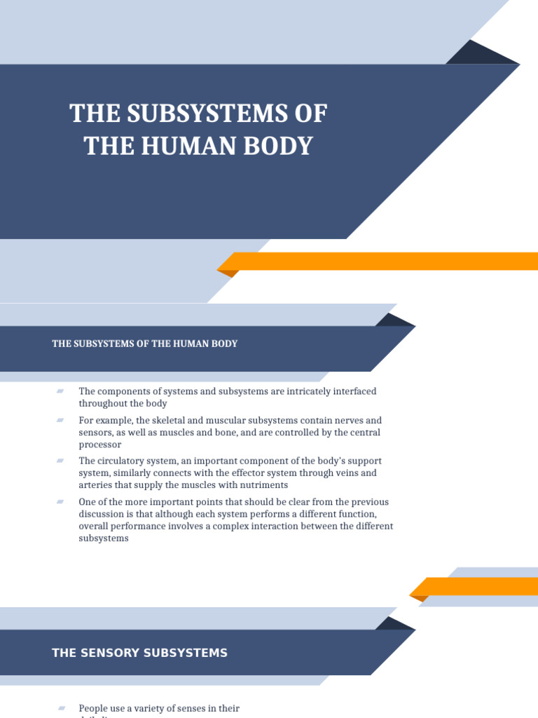 Lesson 7 The Subsystems of The Human Body | PDF | Cornea | Eye