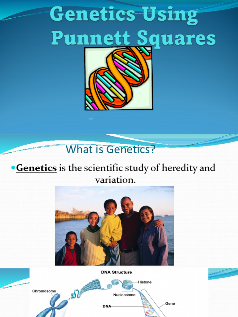 Punnett Square Codominance Incomplete Dominance and Multiple Alleles ...
