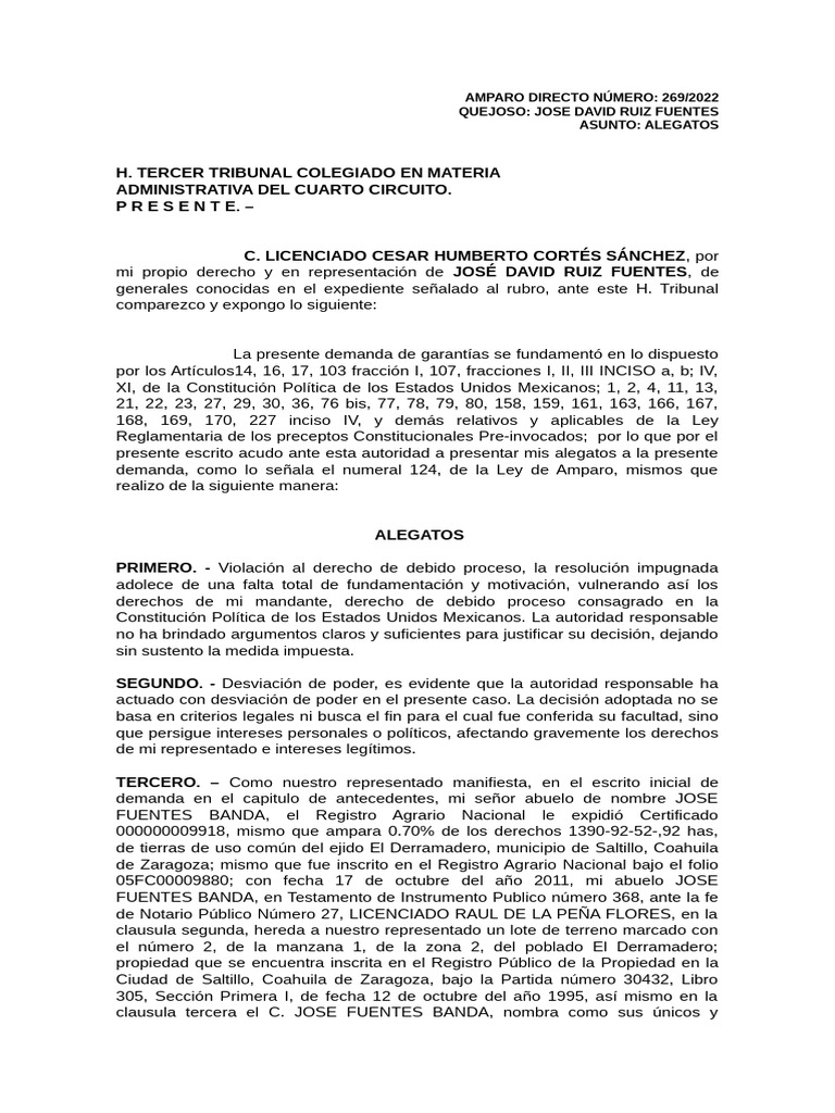 Alegatos Del Amparo Dejose David Ruiz Fuentez | PDF | Debido al proceso ...